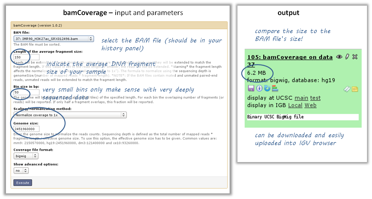 What Is Bam File Format Darelocraze